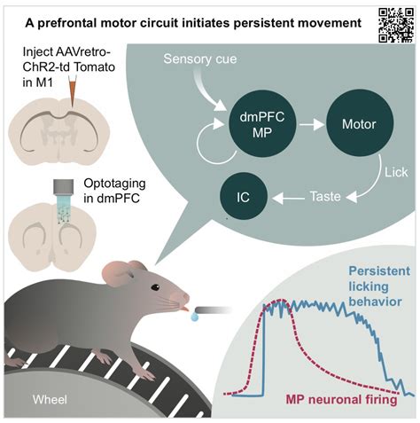 Publications Sun Lab