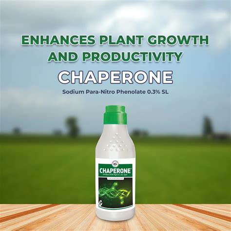 Iil Chaperone Sodium Para Nitrophenolate 03 Sl Buy Online