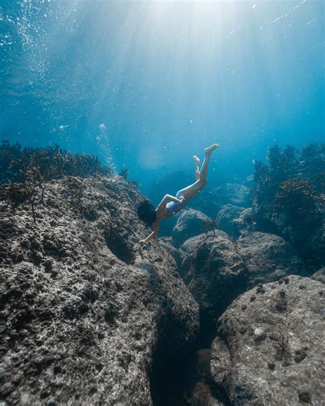 한은지 🤍꿀배의 서프라이즈 프러포즈 암튼 대성공이셔요🤍 서울 자가 아파트에서 예쁜 웨딩링 예쁜 명품 백 풍선과 꽃 케이크까지 열심히 준비한 영배 옆에서 귀엽게