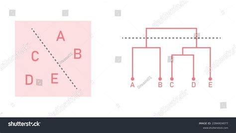dendrogram diagram representing tree hierarchical cluster stock vector