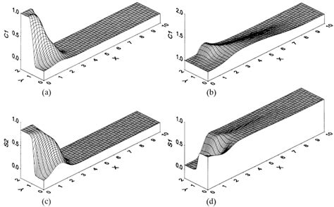 Case Ii Advection And Diffusion Concentrations At Time T 5 Download Scientific Diagram