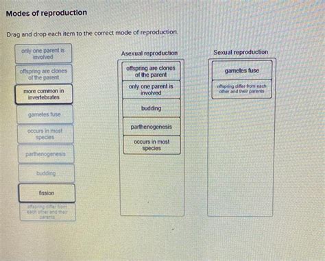 Solved Drag And Drop Each Item To The Correct Method Of Chegg