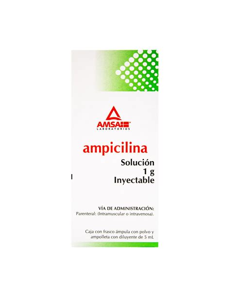 Meta Title Ampicilina Amp 1 Gr Fco 5 Ml Amsa