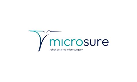 Microsure Haalt €38 Miljoen Op Vectrix
