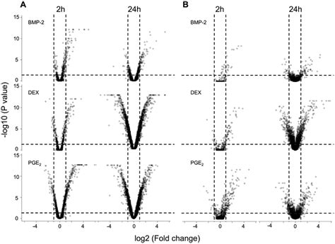 Global Response On Gene Expression Upon Environmental Perturbation The