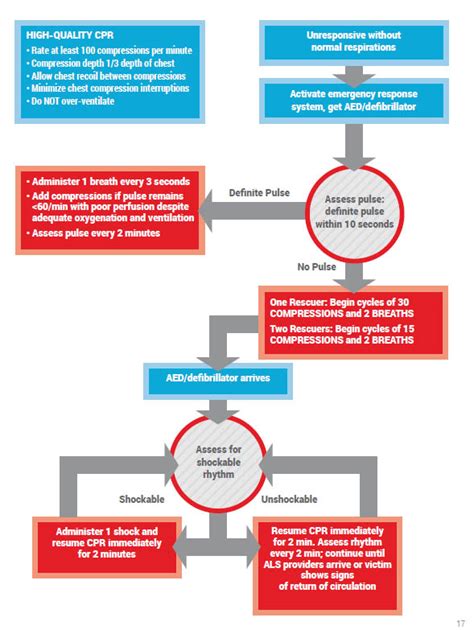 Pediatric Bls Algorithm 2012