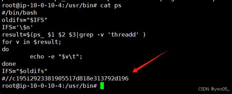 【玄机】第二章日志分析 redis应急响应 csdn博客