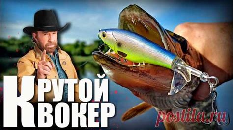 🔴 Неубиваемый КВОКЕР от Kingdom! Сравнение с Whopper Plopper от Alblue ...