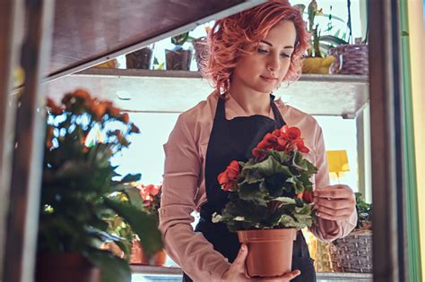 아름 다운 빨간 머리 여성 플로리스트는 꽃이 게에서 일 하는 유니폼을 입고 가을에 대한 스톡 사진 및 기타 이미지 가을 꽃집 꽃집 주인 Istock