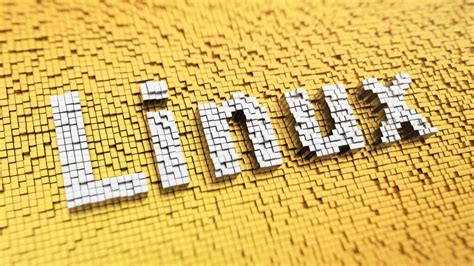 Hands On Guide For Linux Boot File And Folders Coding Bootcamps Babe