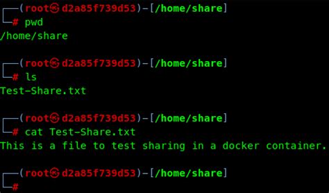 Setting Up Kali In Docker Th Ntis