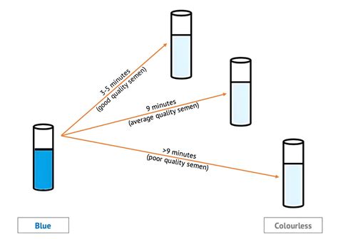 Methylene Blue Reduction Test For Semen Quality Evaluation