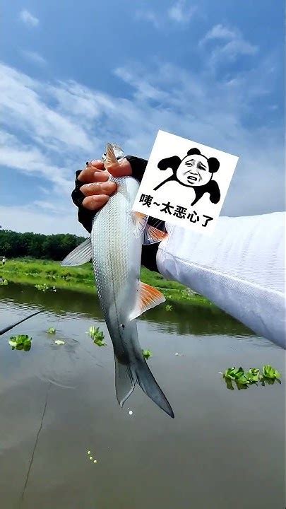 探钓路上不是惊吓就是惊喜，爆护的一天 户外 钓鱼 户外美景 溪流钓饵料 Youtube