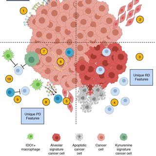 ScRNAseq Profiles Reveal Clinical State Specific Features Of The Tumor Download Scientific
