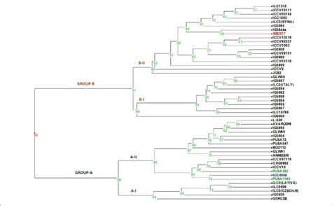 Dendrogram Generated From An Unweighted Pair Group Method Analysis