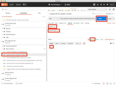 Ingest Batch Data Adobe Experience Platform