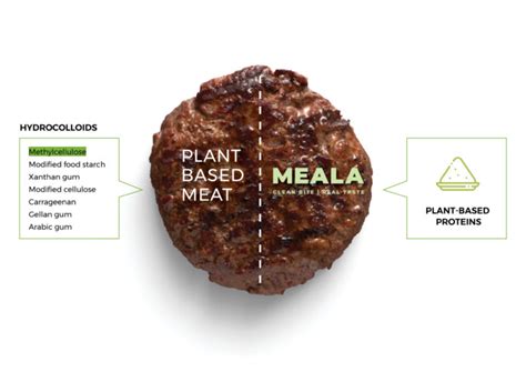 functionally charged proteins clean up labels in meat alternatives
