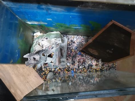 Аквариум 60 литров делался на заказ — купить в Красноярске. Состояние ...