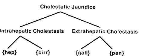 figure 13 2 from the dempster shafer theory of evidence semantic scholar