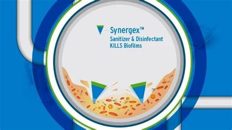 Synergex™ Sanitizer And Disinfectant Ecolab