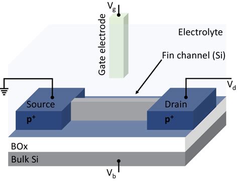 19 schematic representation an isfet device download scientific diagram