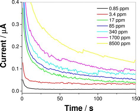 Baseline Corrected Current Time Transients Measured Upon Stepping