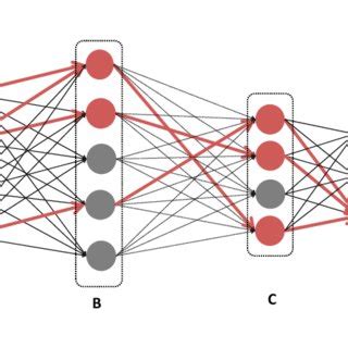 Example Of DNN In Which Some Parts Are Activated With A Certain Input Download Scientific