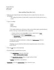 Understanding Bones And Bone Tissue A Comprehensive Overview Course Hero