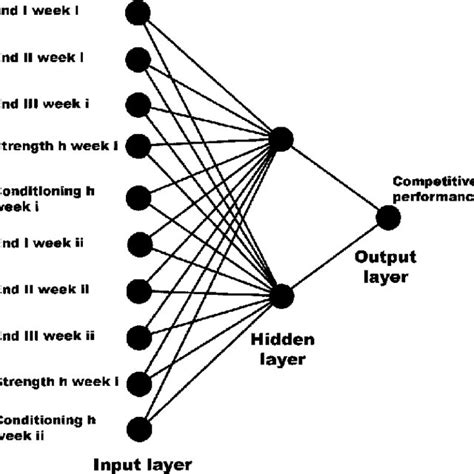multi layer perceptron with 10 input neurons 2 hidden neurons and 1