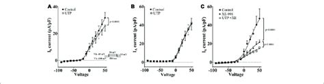 Cells Treated With Utp Exhibit A Decrease In I K Potassium Currents