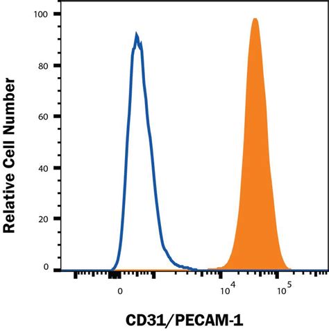 Human Mouse Rat Cd31 Pecam 1 Antibody Af3628 By Randd Systems Part Of