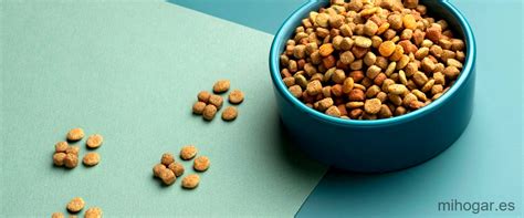 Gosbi Veterinary Diets Gastrointestinal Precio: La opción ideal para la ...