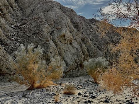 Desert Walk Noah Buscher