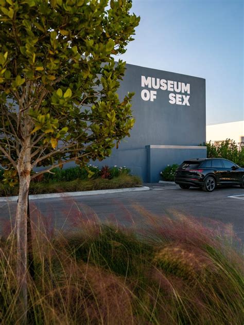 Snøhetta Embraces Positivity And Joy For Museum Of Sex In Miami Architectural Digest News