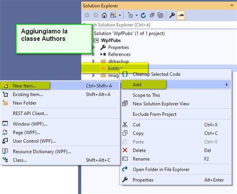 Creare Unapplicazione Wpf Per Gestire Dati Su Un Database Sqlserver