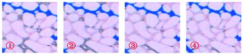 Injected Water Protects Fluid Properties 1 Before Replenishing