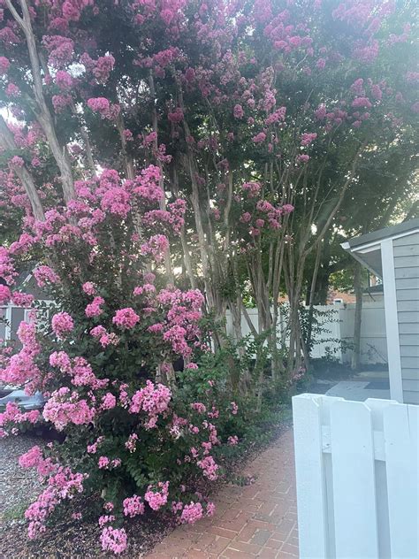 Emily Heeter Emily Heeter Added A New Photo