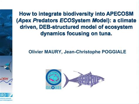 Ppt How To Integrate Biodiversity Into Apecosm Apex Predators Ecosystem Model A Climate