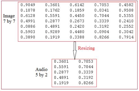 Image Resizing Example Download Scientific Diagram