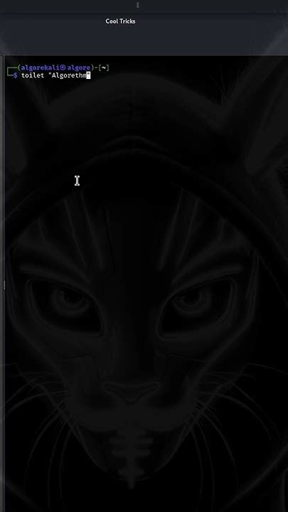 Combined2 Bug Bounty Hunting Hacking Tricks Linux Hackingprevention Infosec Coding