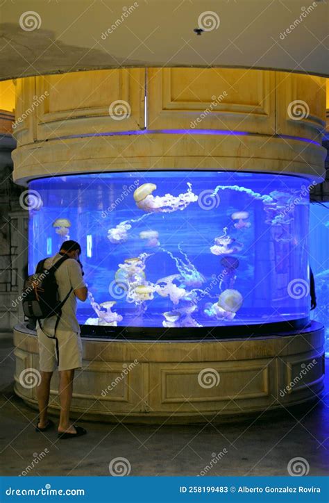 Shark Reef Aquarium At The Mandalay Bay Hotel In Las Vegas Nevada Usa
