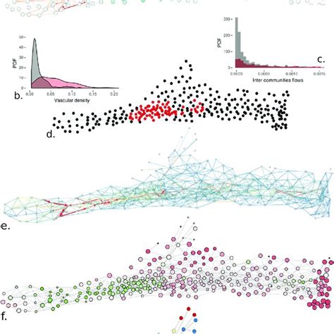 Functional Community Network Analysis A Graph Authority Feature On