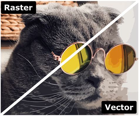 convert raster images to vectors for free with online svgstorm