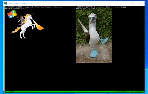 Terminal 🚀 Feature Request Sixel Graphics Support