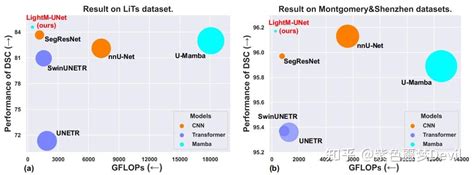 论文精读01lightm Unet Mamba Assists In Lightweight Unet For Medical Image