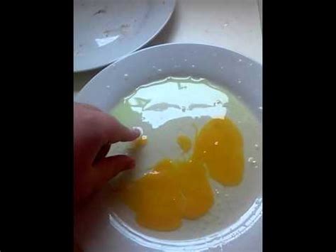 How To Fuck A Egg YouTube