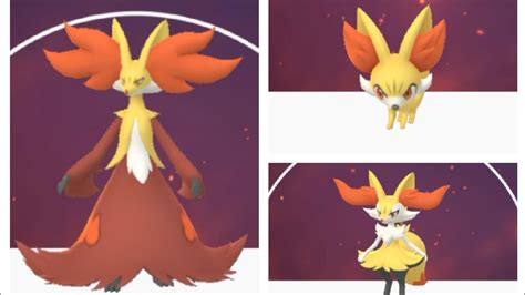 Braixen Pokemon Evolution