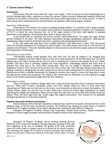 3rd Quarter General Biology Outline 1124 Pdf Dominance Genetics Dna