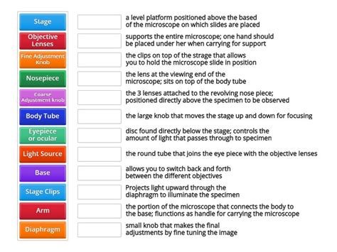 Microscope Functions Match Up