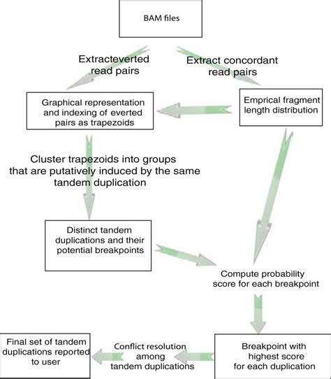 A Flowchart Summarizing The Framework Implemented By Db2 Since The